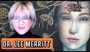 Live w/ Dr. Lee Merritt - One News Page VIDEO