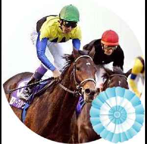 Turf en Vivo 09/08/2025 - newsR VIDEO