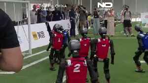 China’s 2026 humanoid robot pregnancy with artificial womb: - newsR