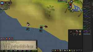 Leagues VI - Gimp Wanchor - One News Page VIDEO