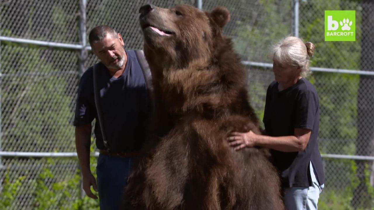 Our Big Bear Family - One News Page VIDEO