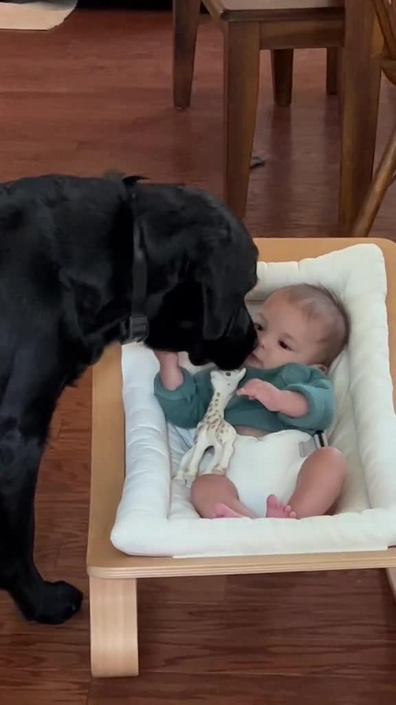 adorable baby making out with mother's - One News Page VIDEO