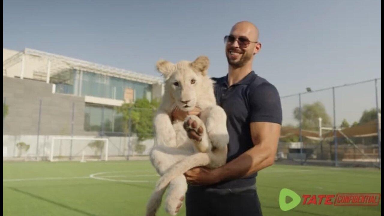 THE GREAT TATE RACE | TATE CONFIDENTIAL EP. 169 - One News Page VIDEO