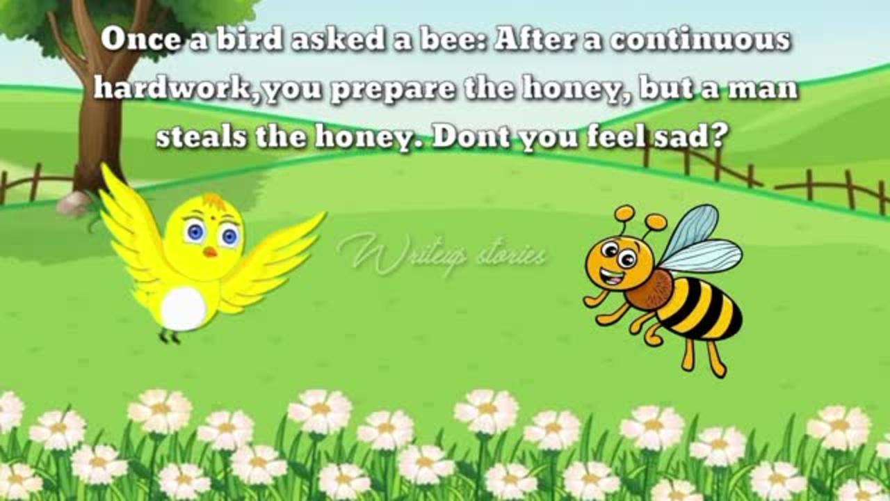 The Bee And The Bird - One News Page VIDEO