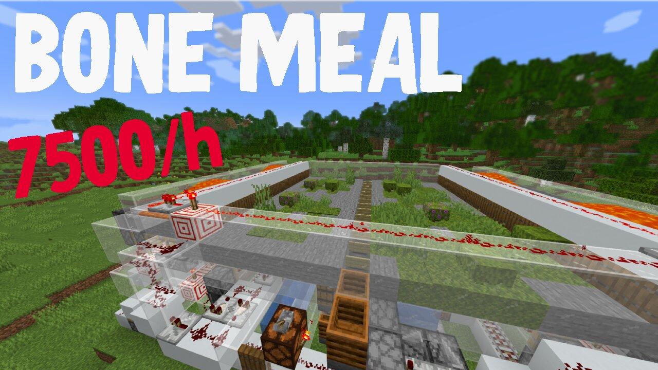 How To Make A Fastest Bone Meal Farm In - One News Page VIDEO