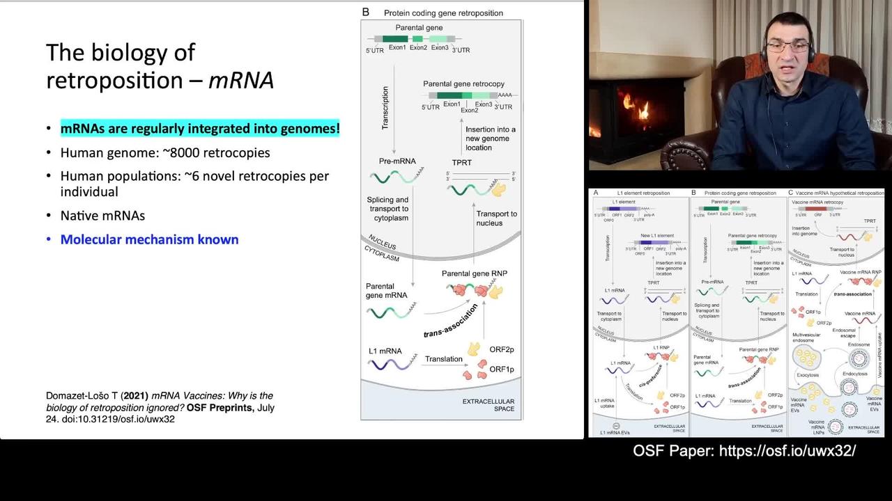 mRNA vaccines - Why is the biology of - One News Page VIDEO