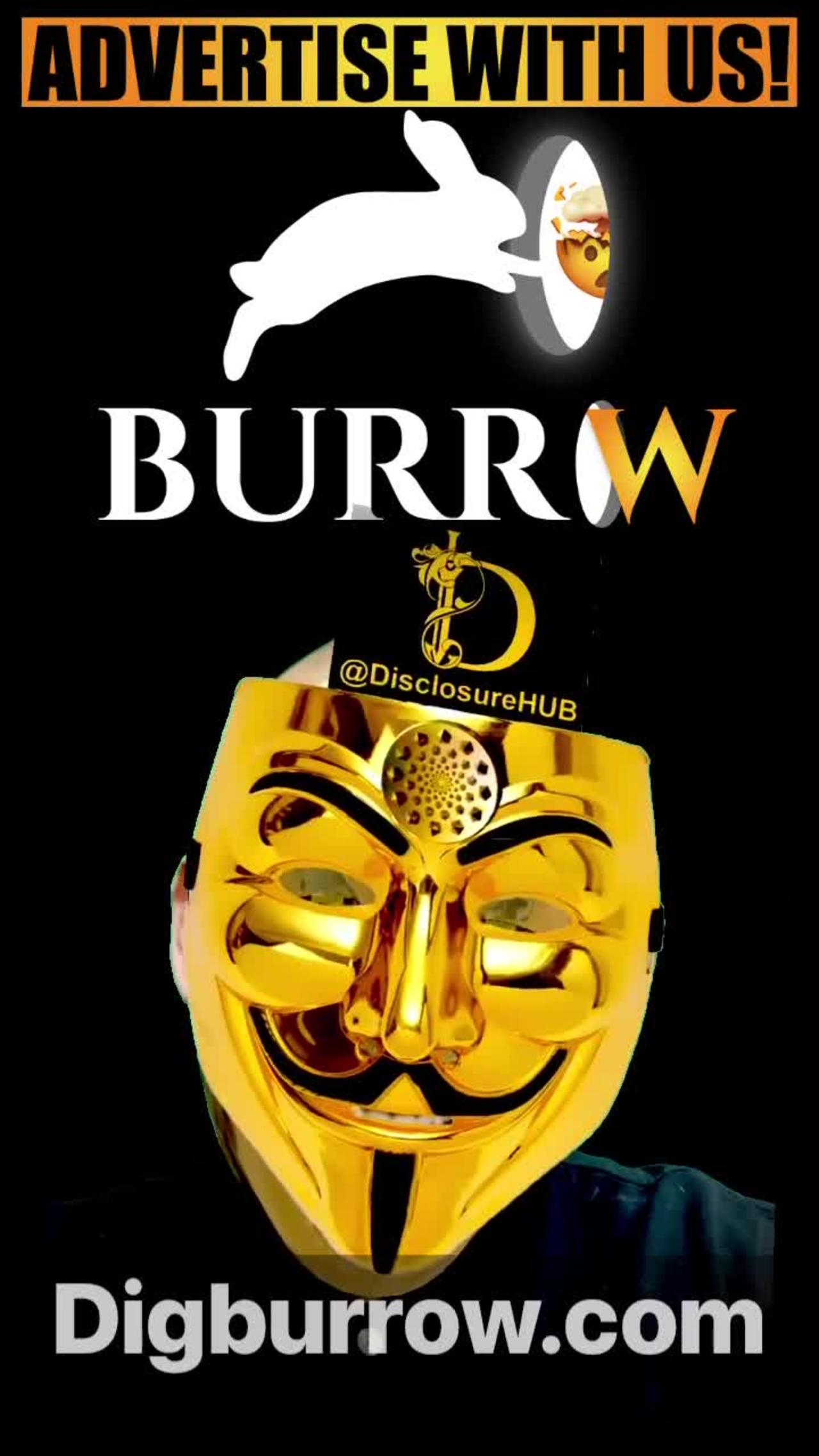 Have Roku? Add Burrow Channel - One News Page VIDEO