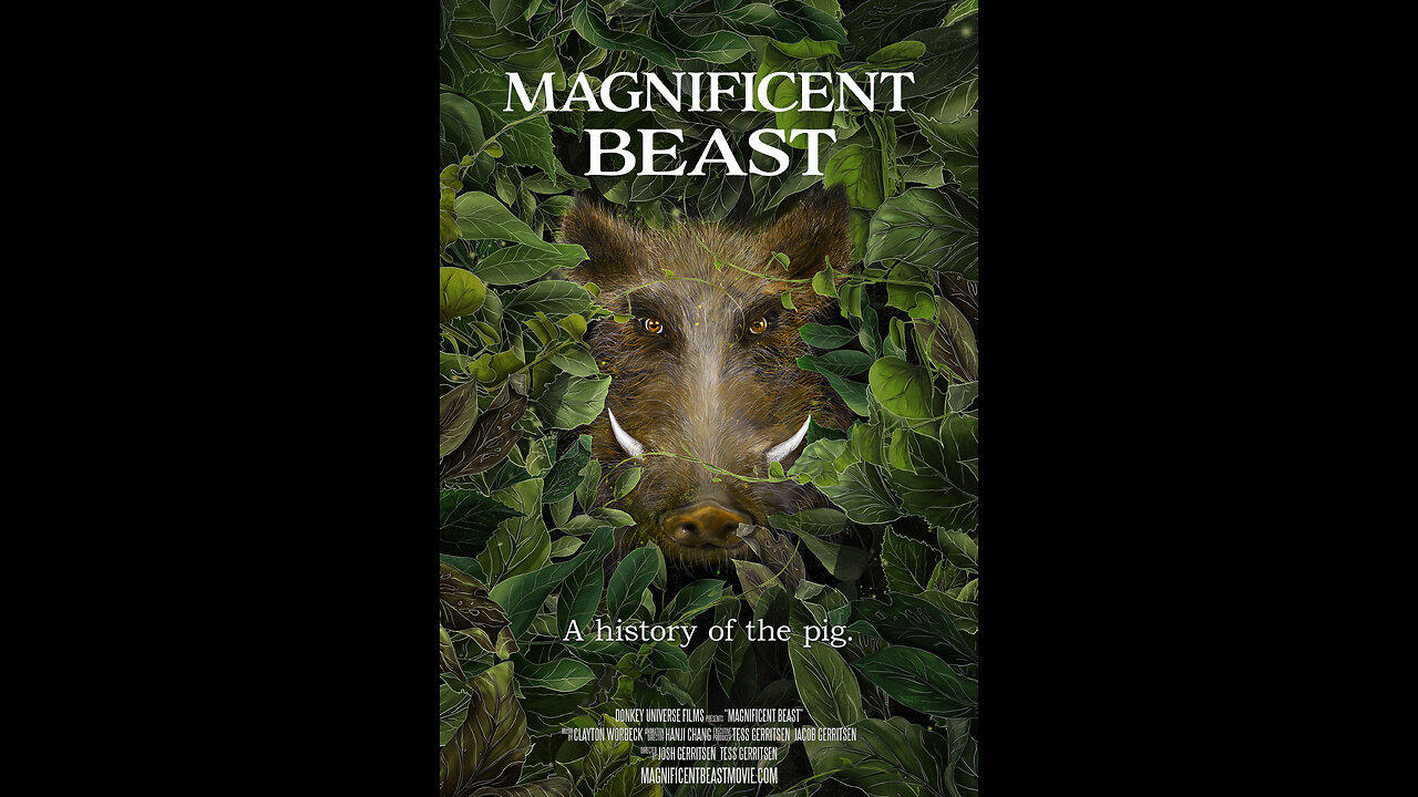 Magnificent Beast - Trailer © 2022 Documentary - One News Page VIDEO
