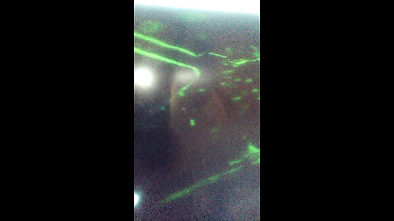 Will Ash/Will Post Ash Jr/Christian - One News Page VIDEO