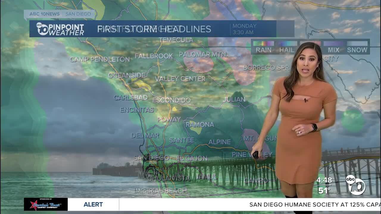ABC 10News Pinpoint Weather with Weather Anchor - One News Page VIDEO
