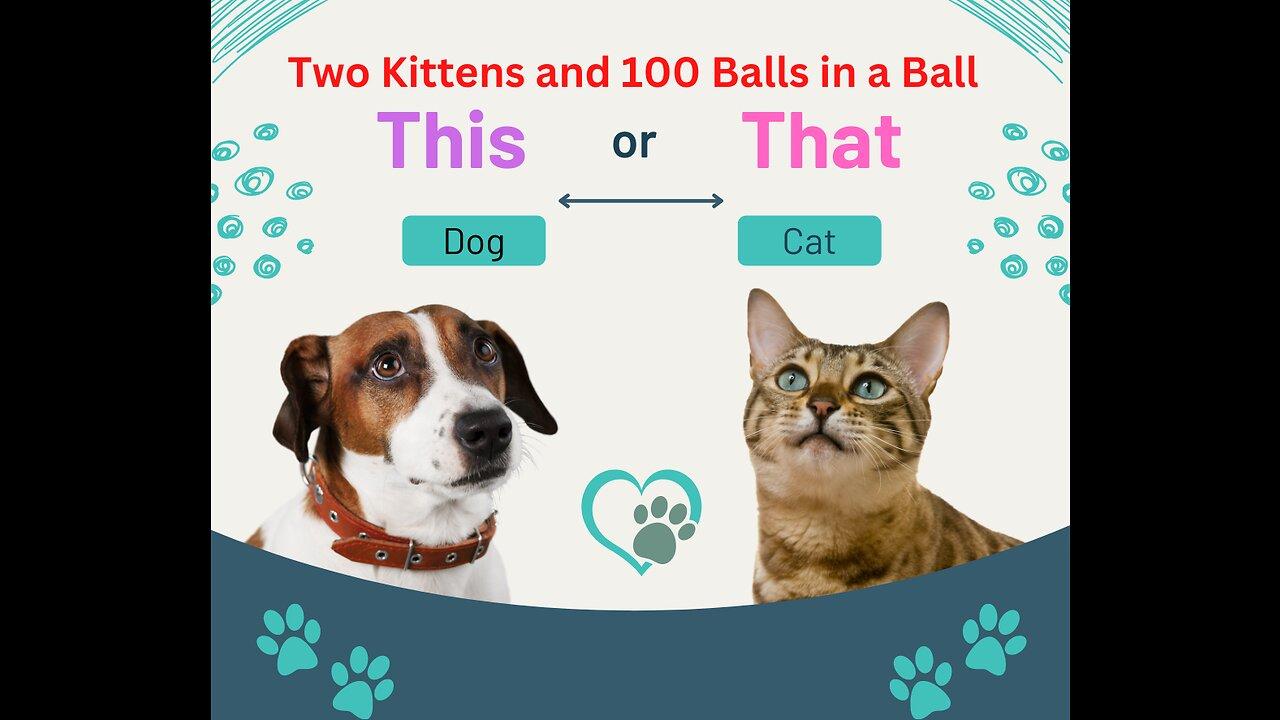 Pip | A Short Animated Film by Southeastern - One News Page VIDEO