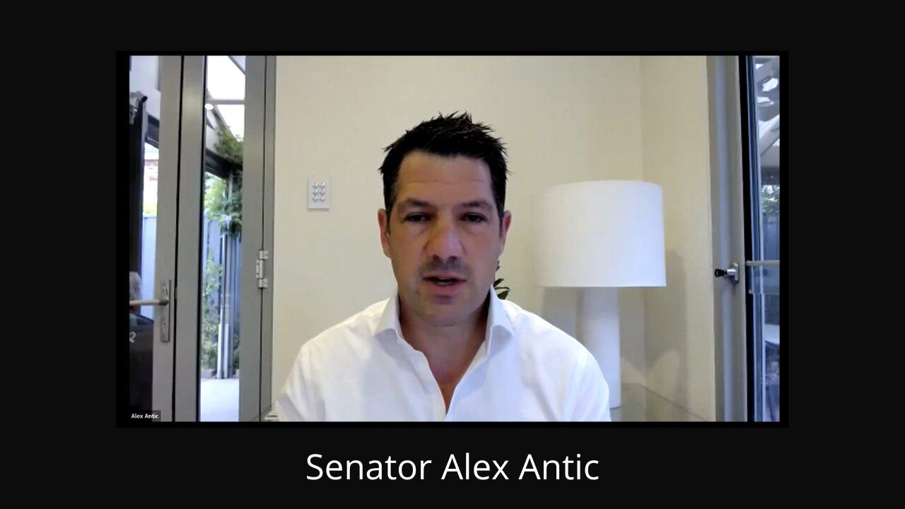 Senator Alex Antic - One News Page VIDEO