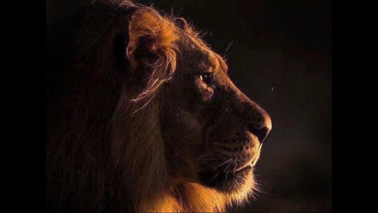 Pagan Emperor Constantine & The First - One News Page VIDEO