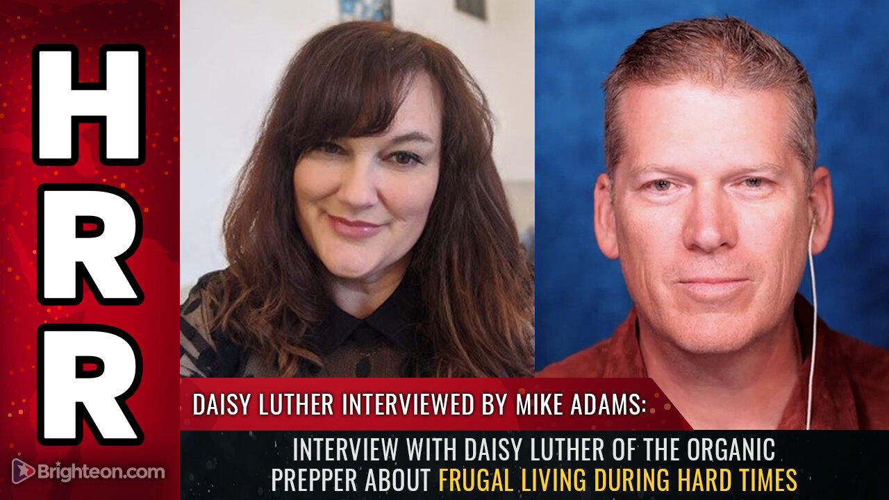 Interview with Daisy Luther of The Organic - One News Page VIDEO