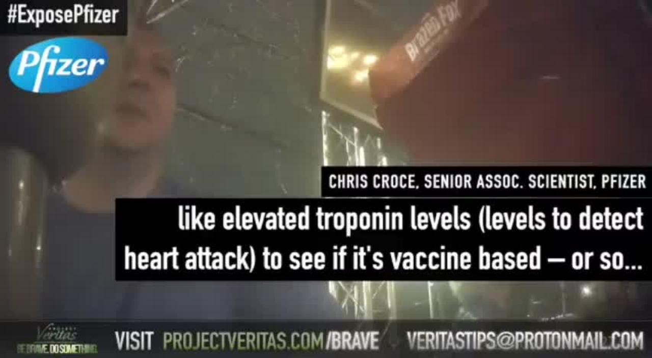 Pfizer scientist admits the unthinkable on - One News Page VIDEO