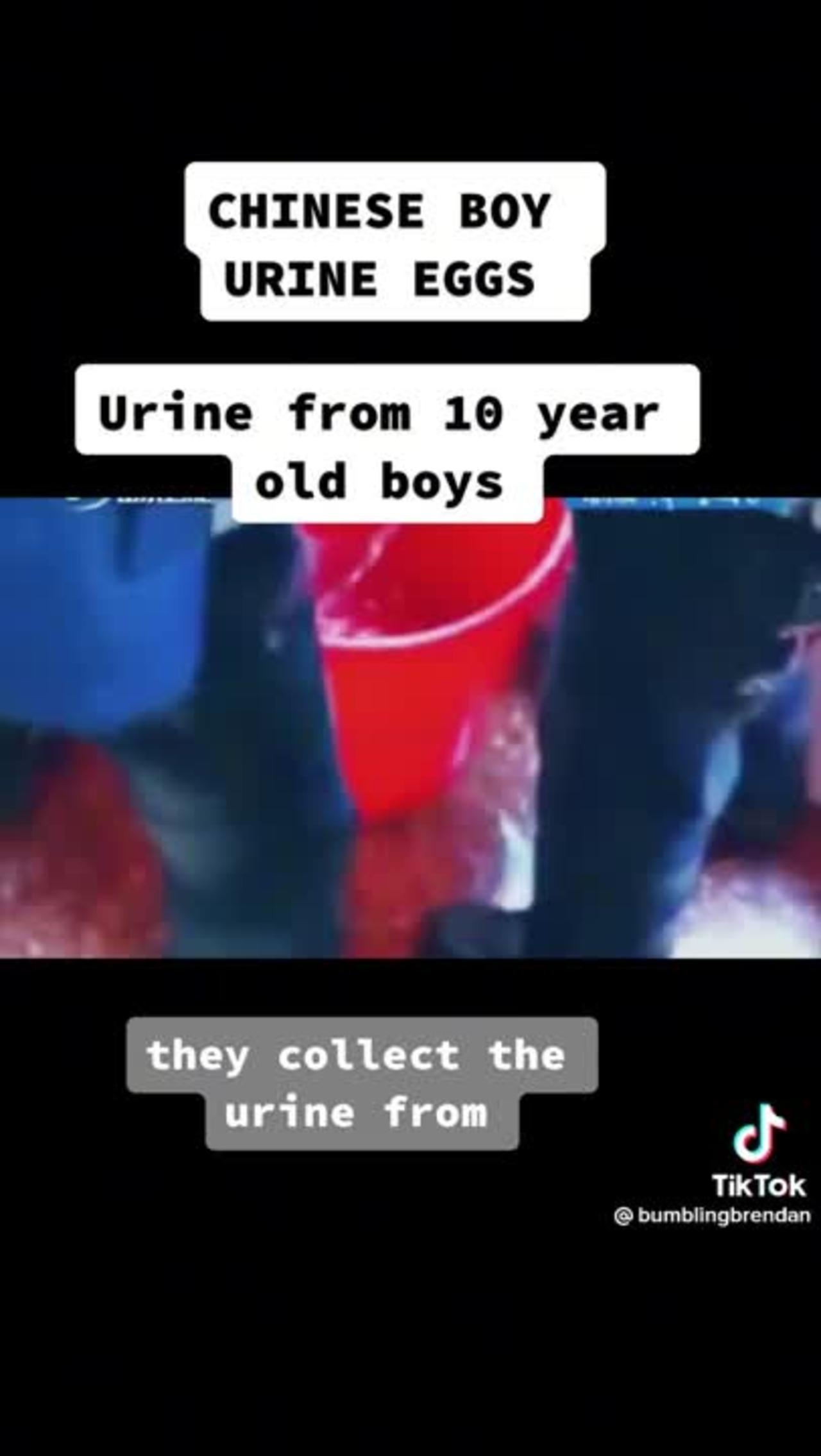 Boy pee eggs, is This Real? - One News Page VIDEO