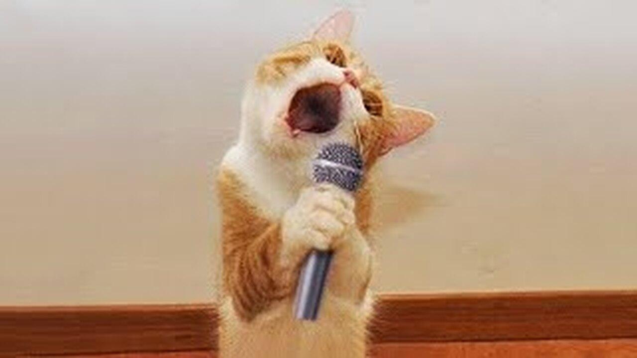 Funniest Animals 2023 😂 Funny Cats and Dogs - One News Page VIDEO