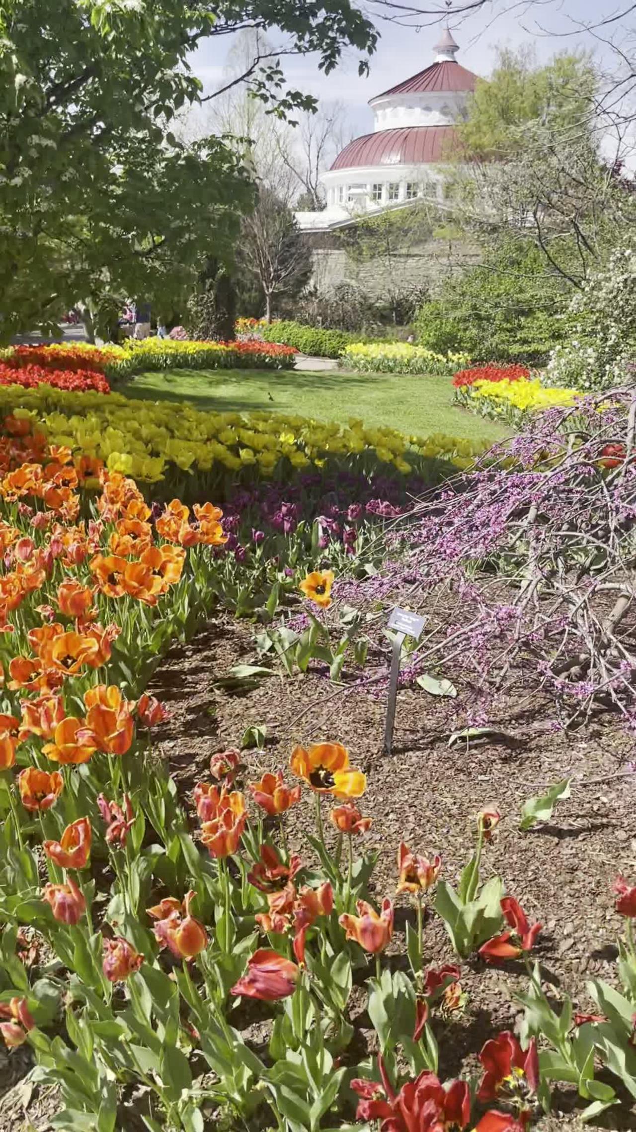 Spring at the Cincinnati Zoo 22 - One News Page VIDEO