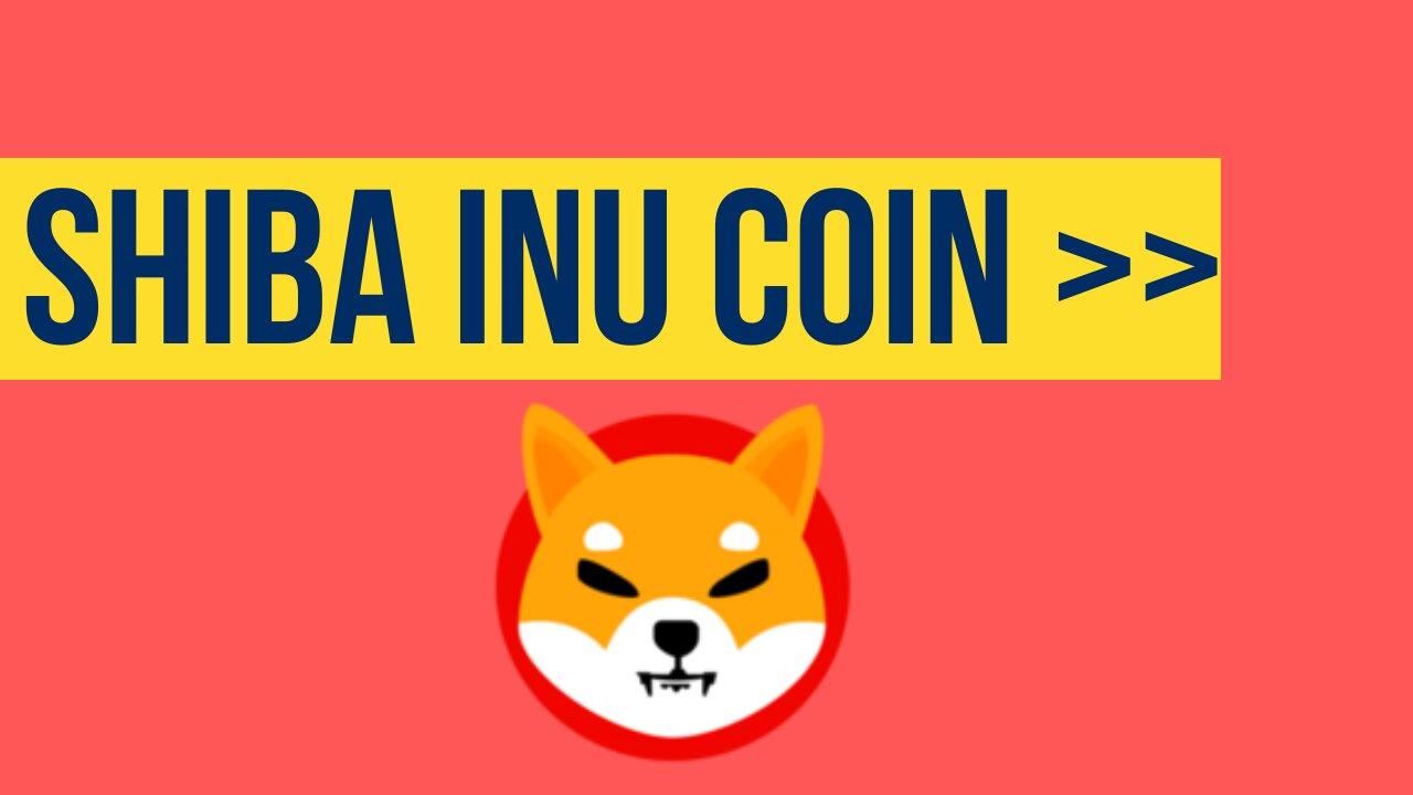 Shiba Inu Meme Coin Still Holding Strong - One News Page VIDEO