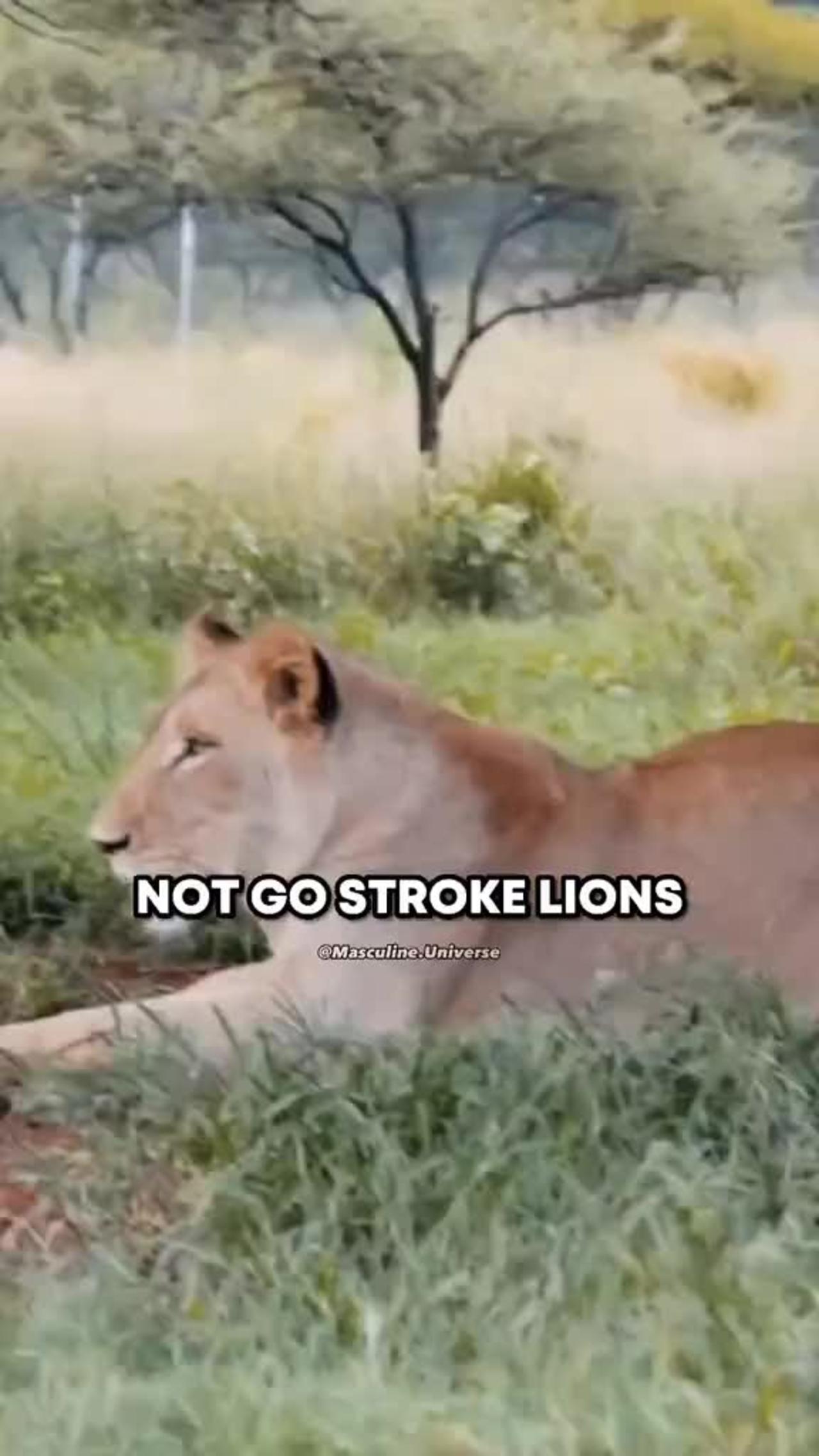 Pattern recognition is not Racism - One News Page VIDEO