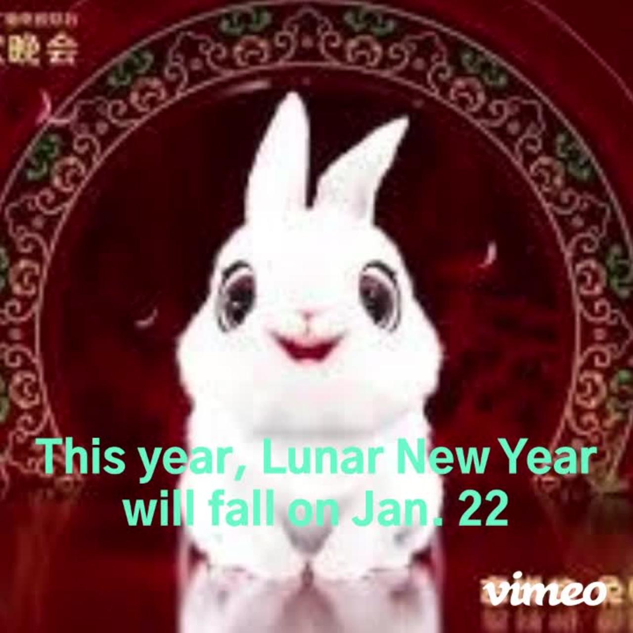 Lunar New Year: What to expect as we hop into - One News Page VIDEO