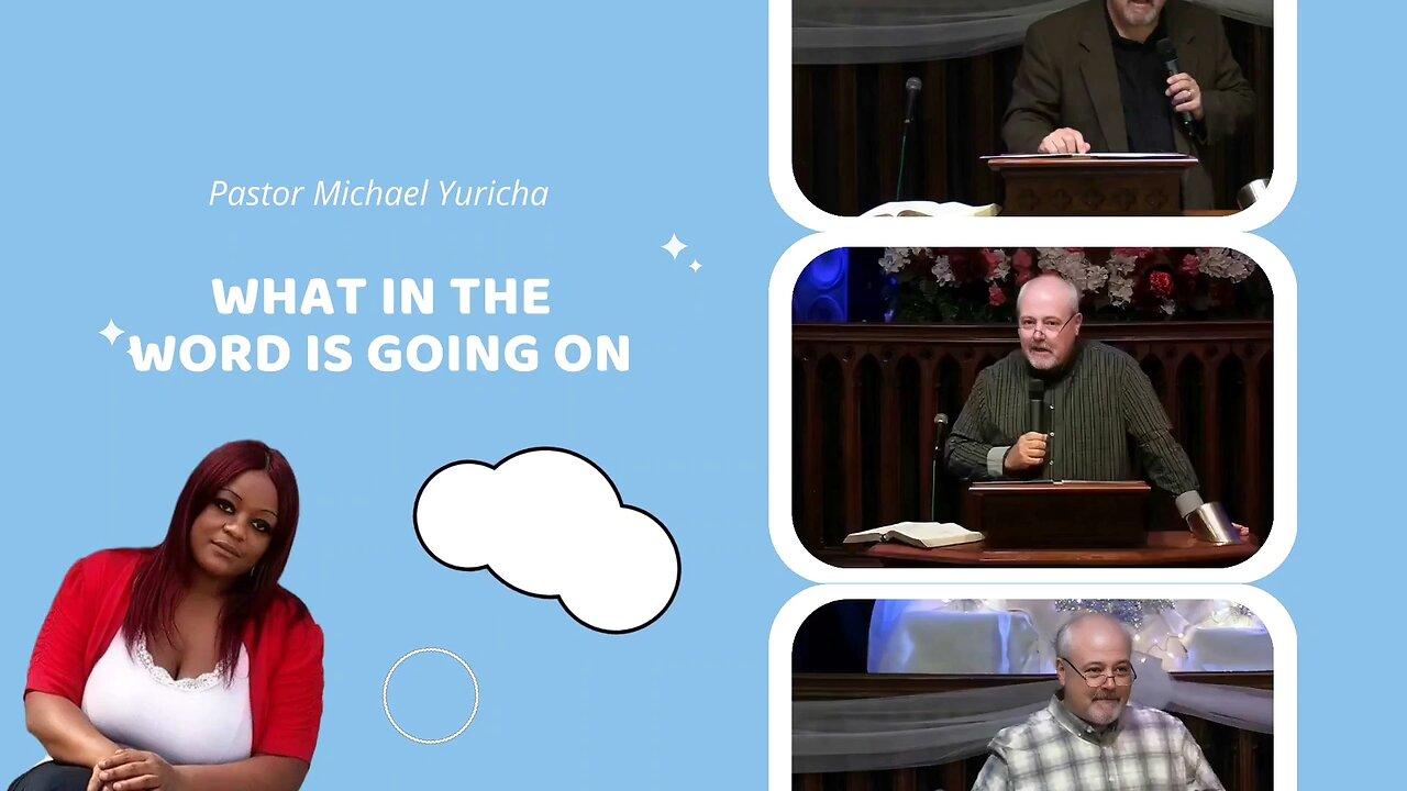 Michael Yuricha on what in the word is going on - One News Page VIDEO