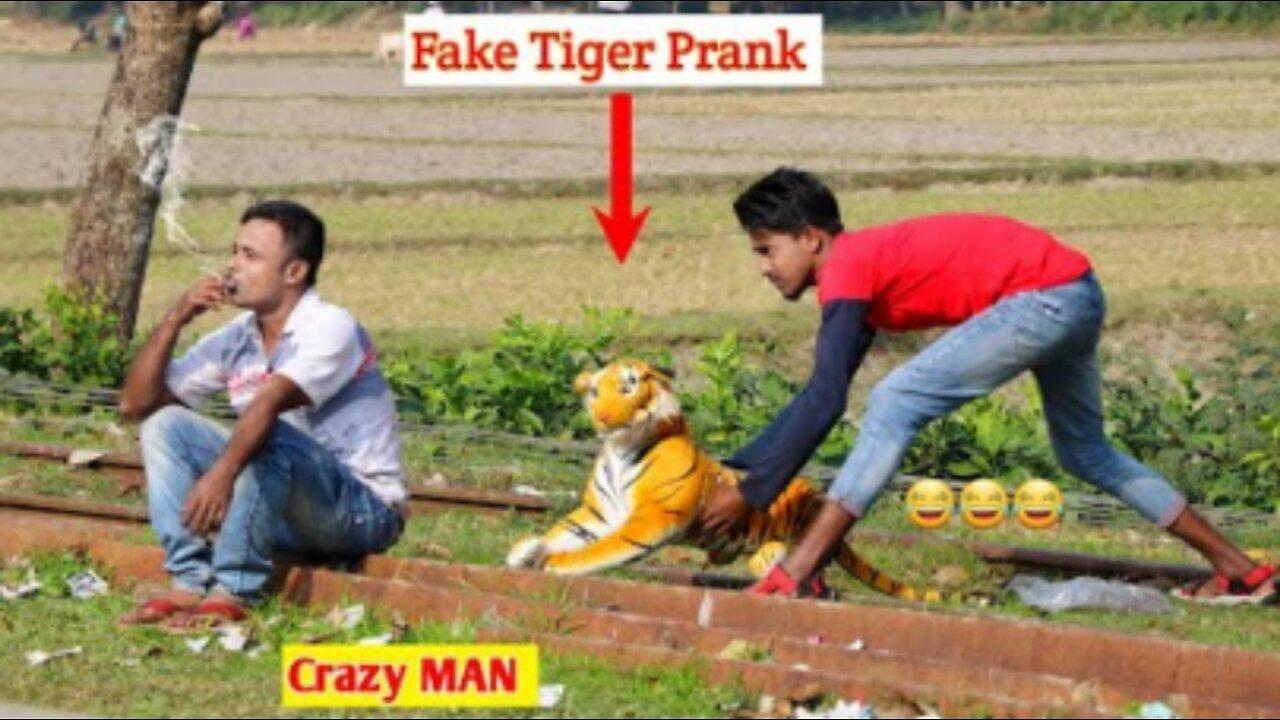 Fake Tiger vs Crazy MAN PRANK | Fake Tiger Prank - One News Page VIDEO