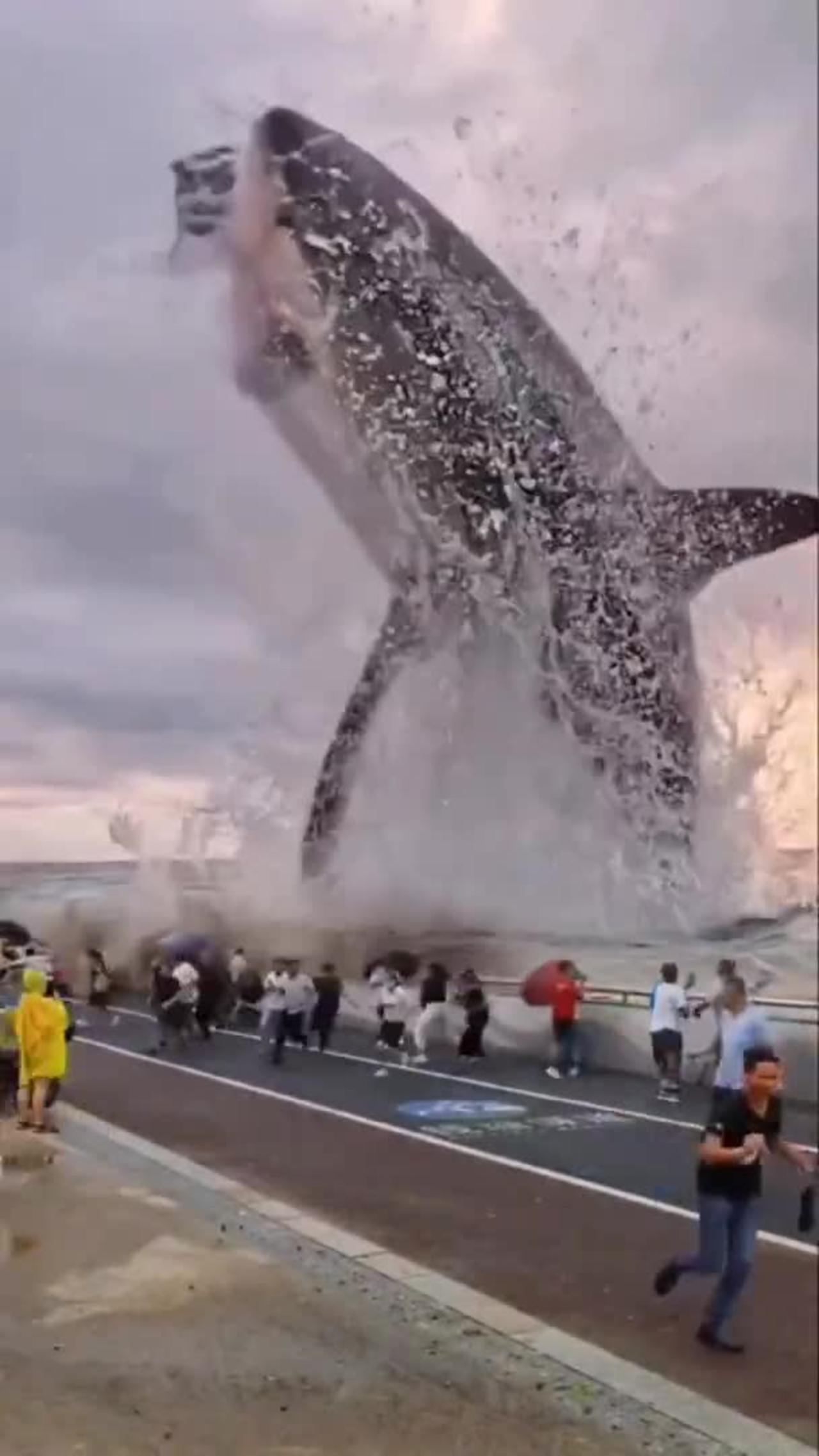 the big fish status l beautiful big fish - One News Page VIDEO