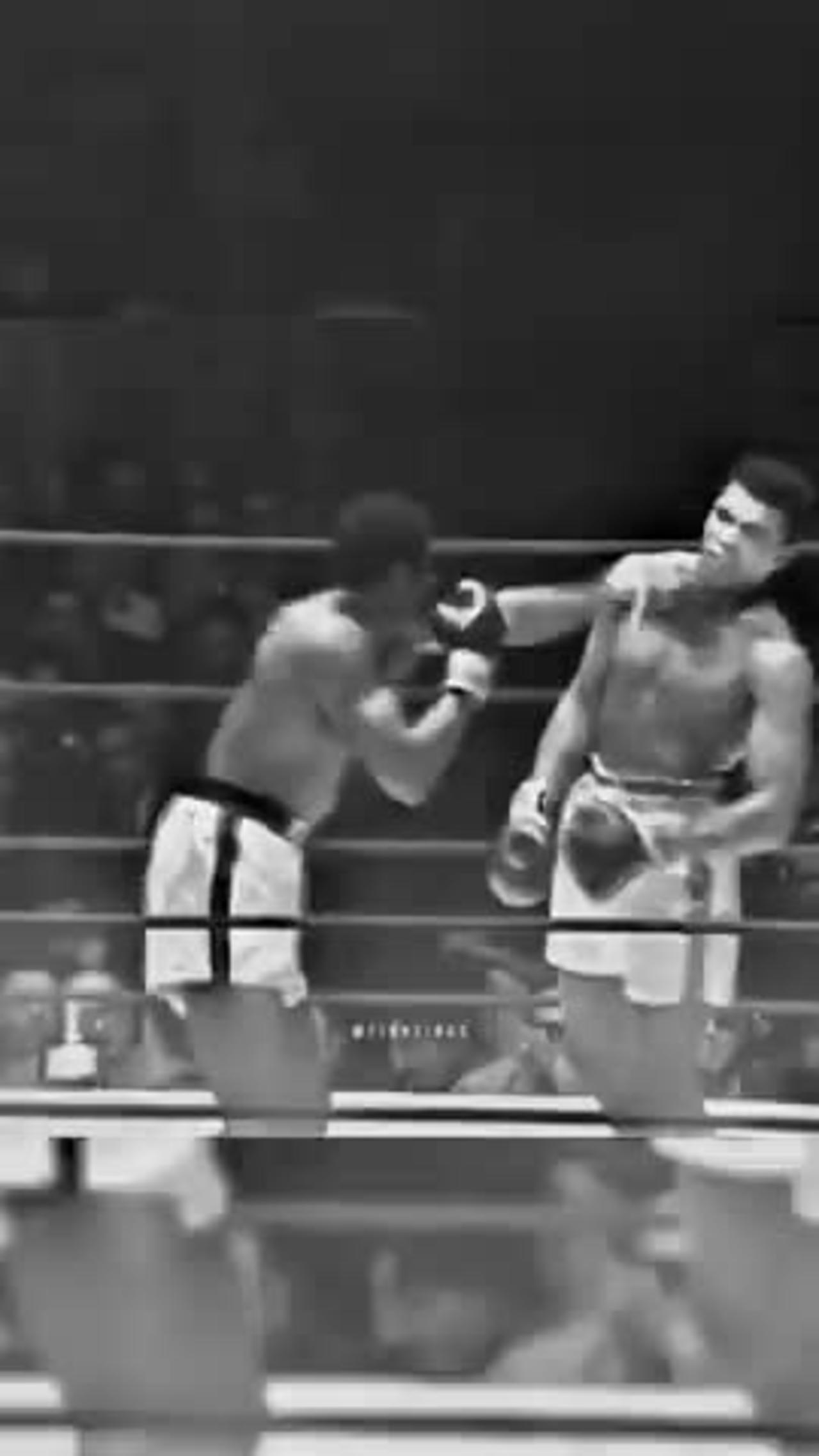 Muhammad Ali was the GOAT - One News Page VIDEO