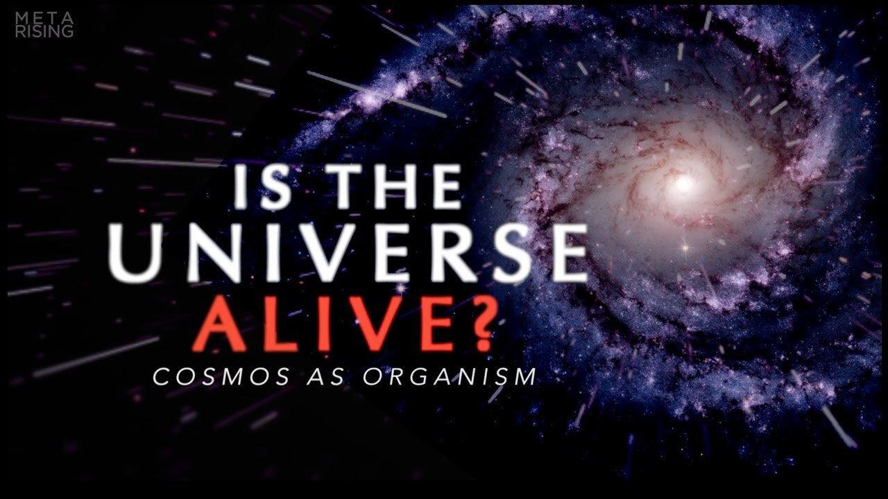 The Living Universe: Cosmos as Organism - One News Page VIDEO