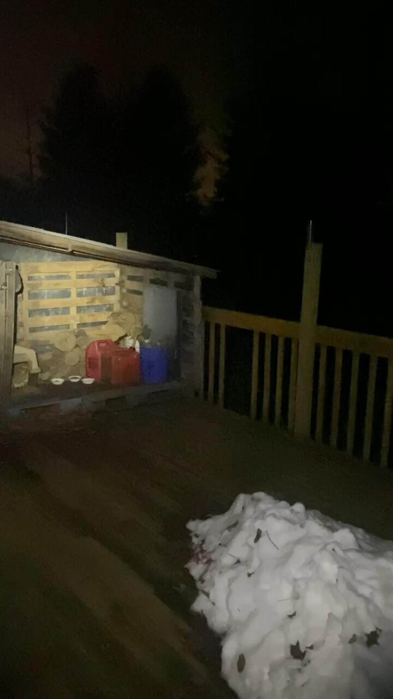 ALIEN CREATURES CAUGHT ON SECURITY CAMERA - One News Page VIDEO