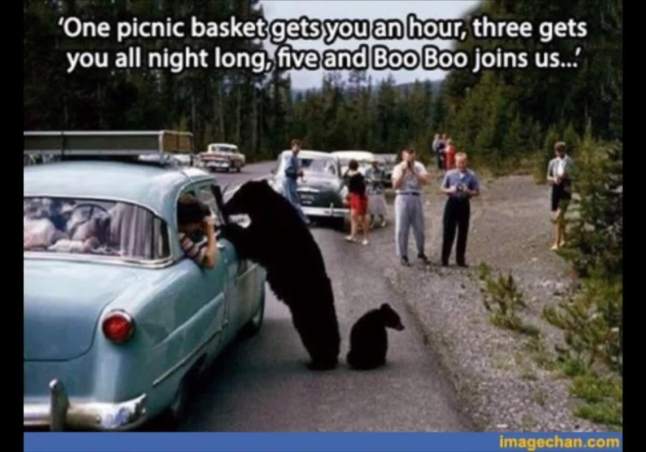 Random Memes 42 - One News Page VIDEO