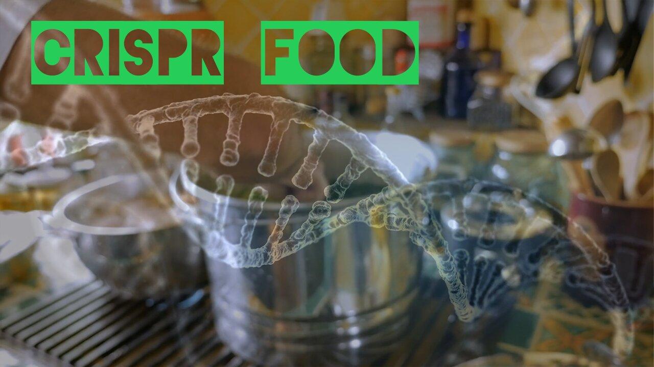 CRISPR Food Future - One News Page VIDEO