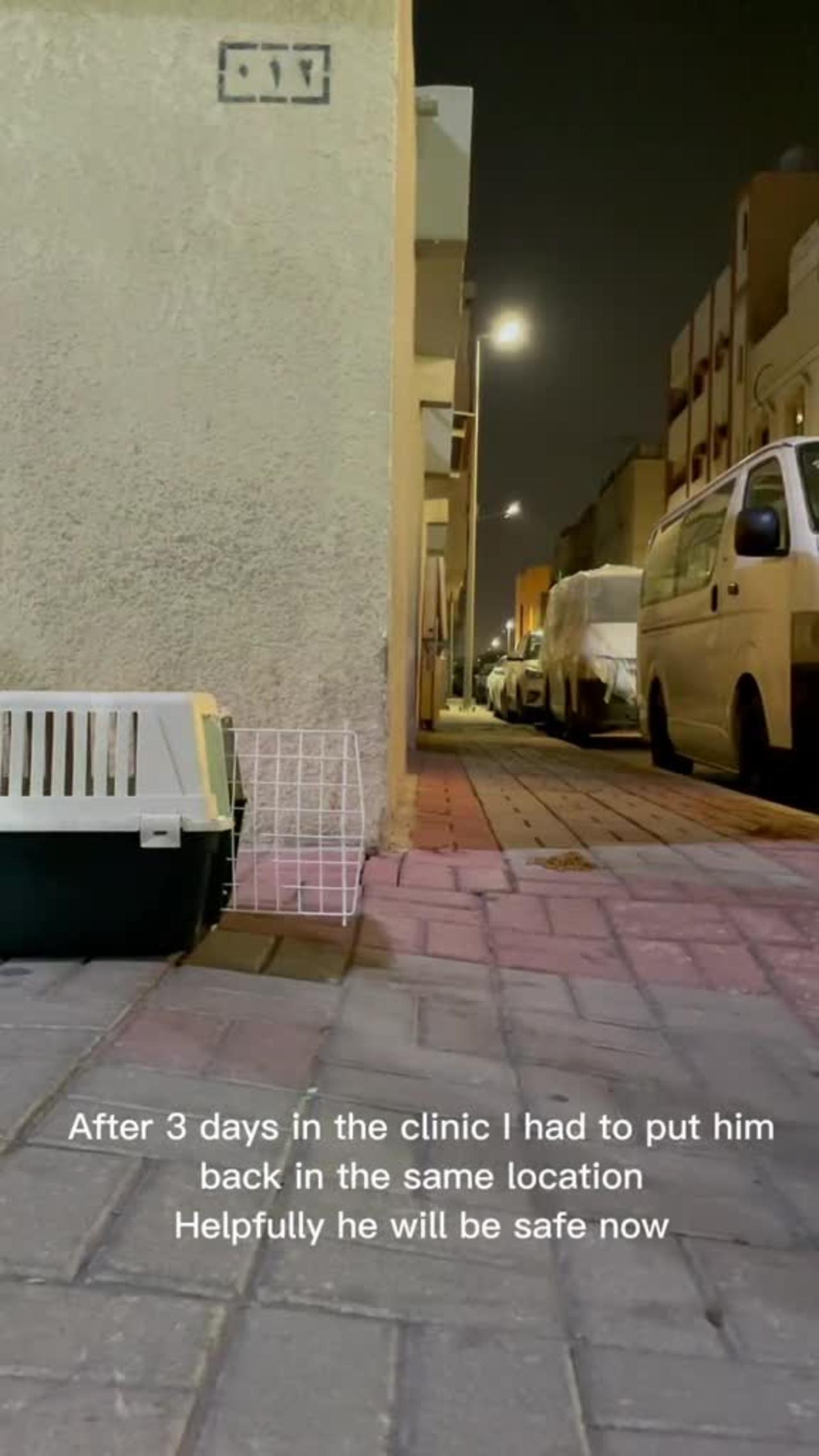 Rescue a cat stuck in a can of tuna - One News Page VIDEO