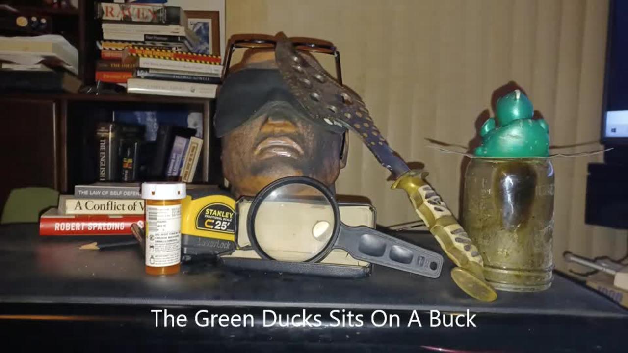Green Duck - One News Page VIDEO