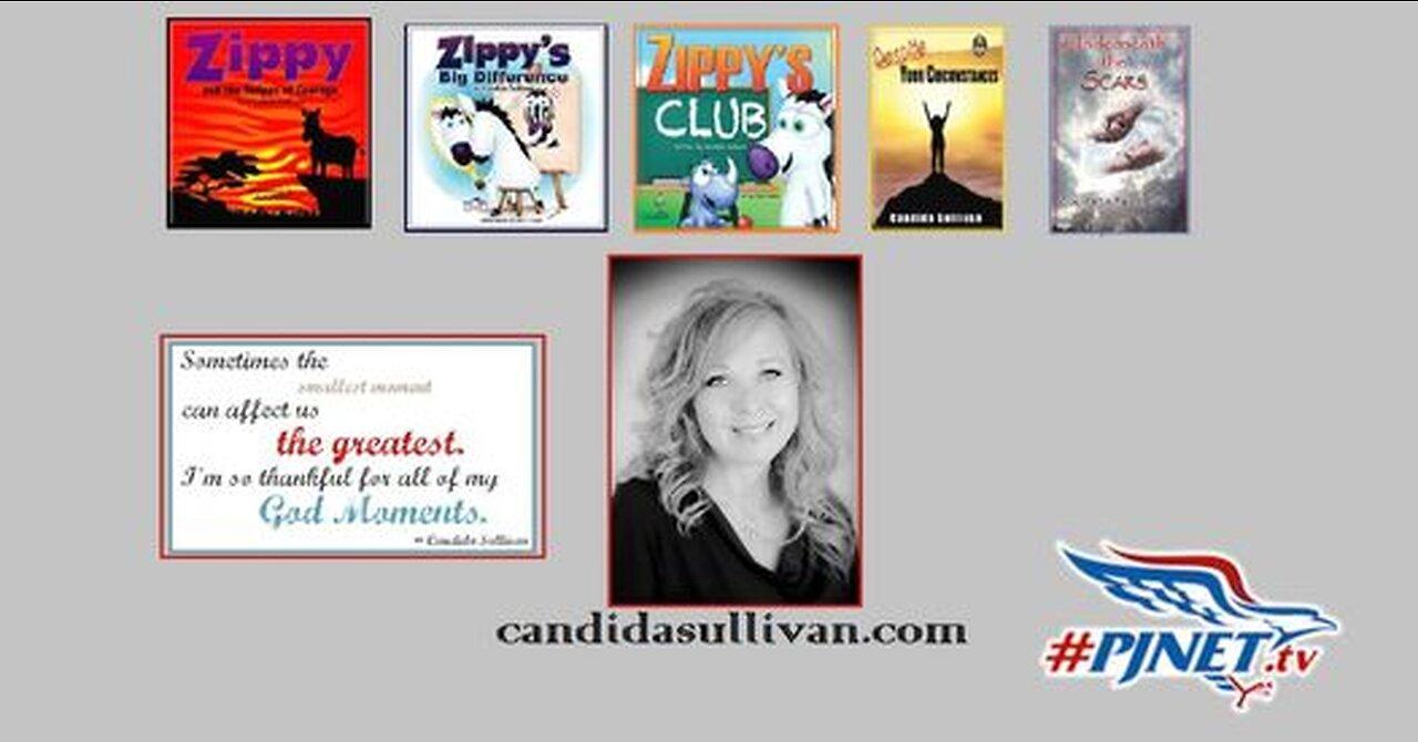 Candida Sullivan on #PJNET.tv 2/2/2023 - One News Page VIDEO