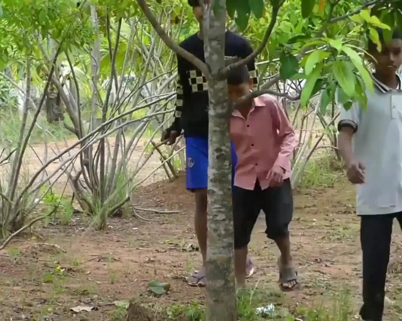 Village Boys Found Giant Snake Attack Poor Goat - One News Page VIDEO