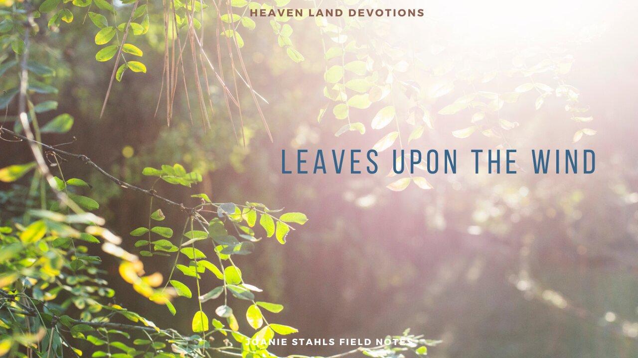 Heaven Land Devotions - Leaves Upon The Wind - One News Page VIDEO