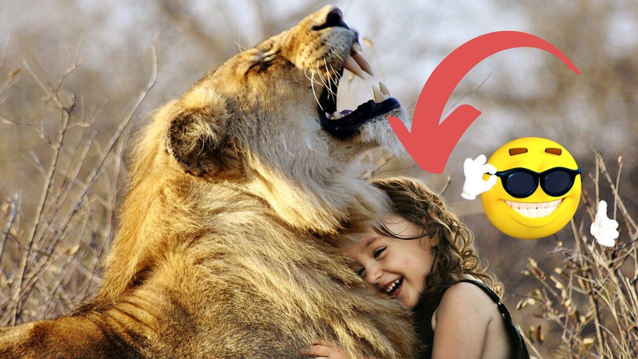 The Most fascinating Wild Animals in the - One News Page VIDEO