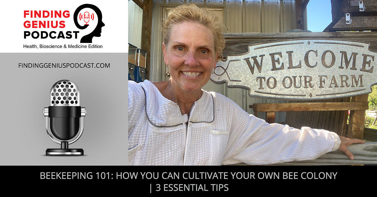 Beekeeping 101: How You Can Cultivate Your Own - One News Page VIDEO