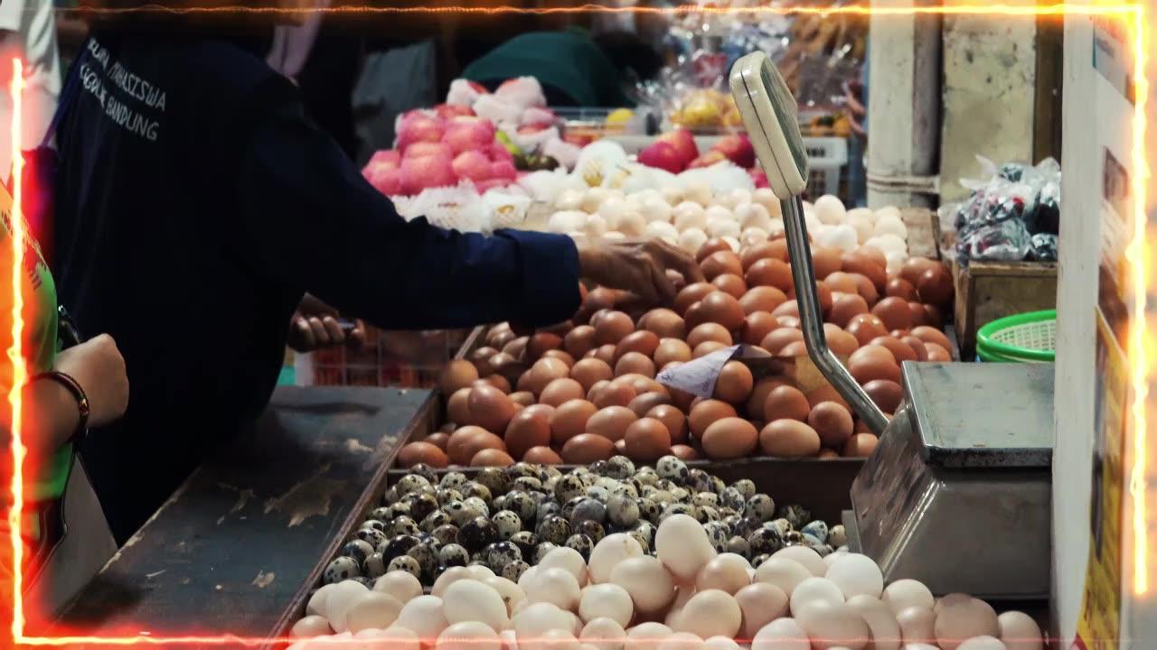 Misinterpretation Online After Joe Rogan's - One News Page VIDEO