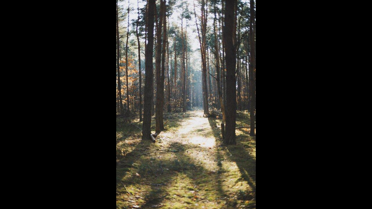 CALM VOICE OF NATURE/CALM RELAXING MELODY OF - One News Page VIDEO