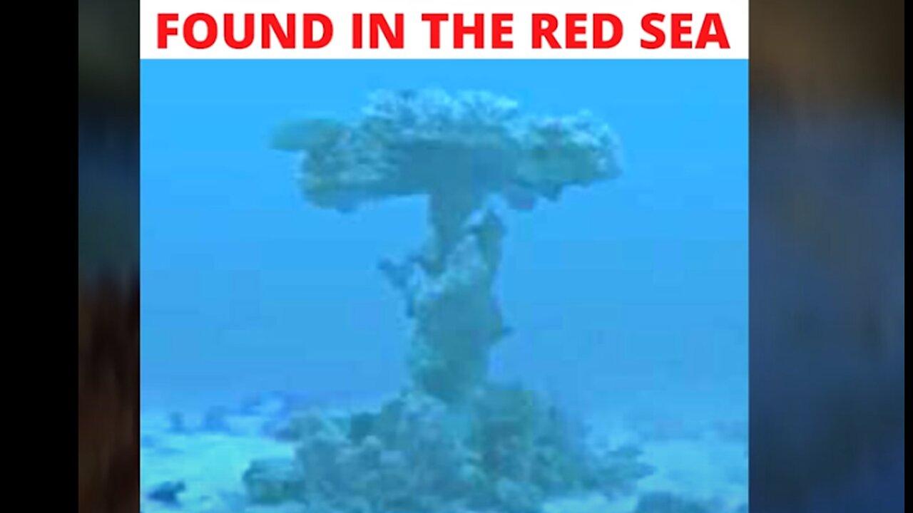 What's At The Bottom Of The RED SEA? PROOF! - One News Page VIDEO
