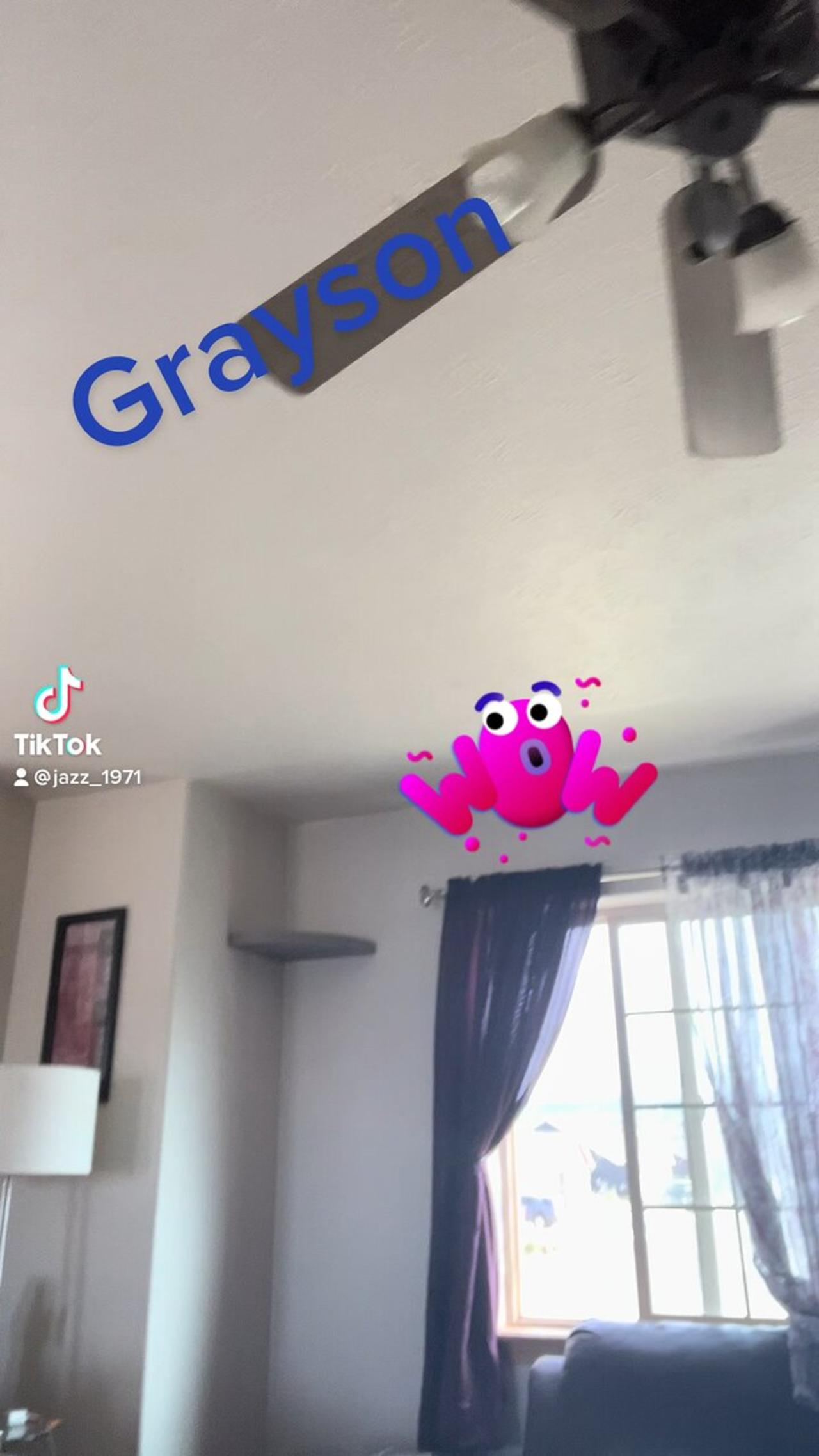 Teaching an African Gray, Grayson, to fly to me - One News Page VIDEO