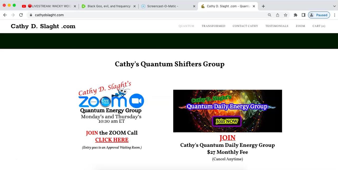 Cathy D. Slaght's Quantum Energy Group Zoom - One News Page VIDEO