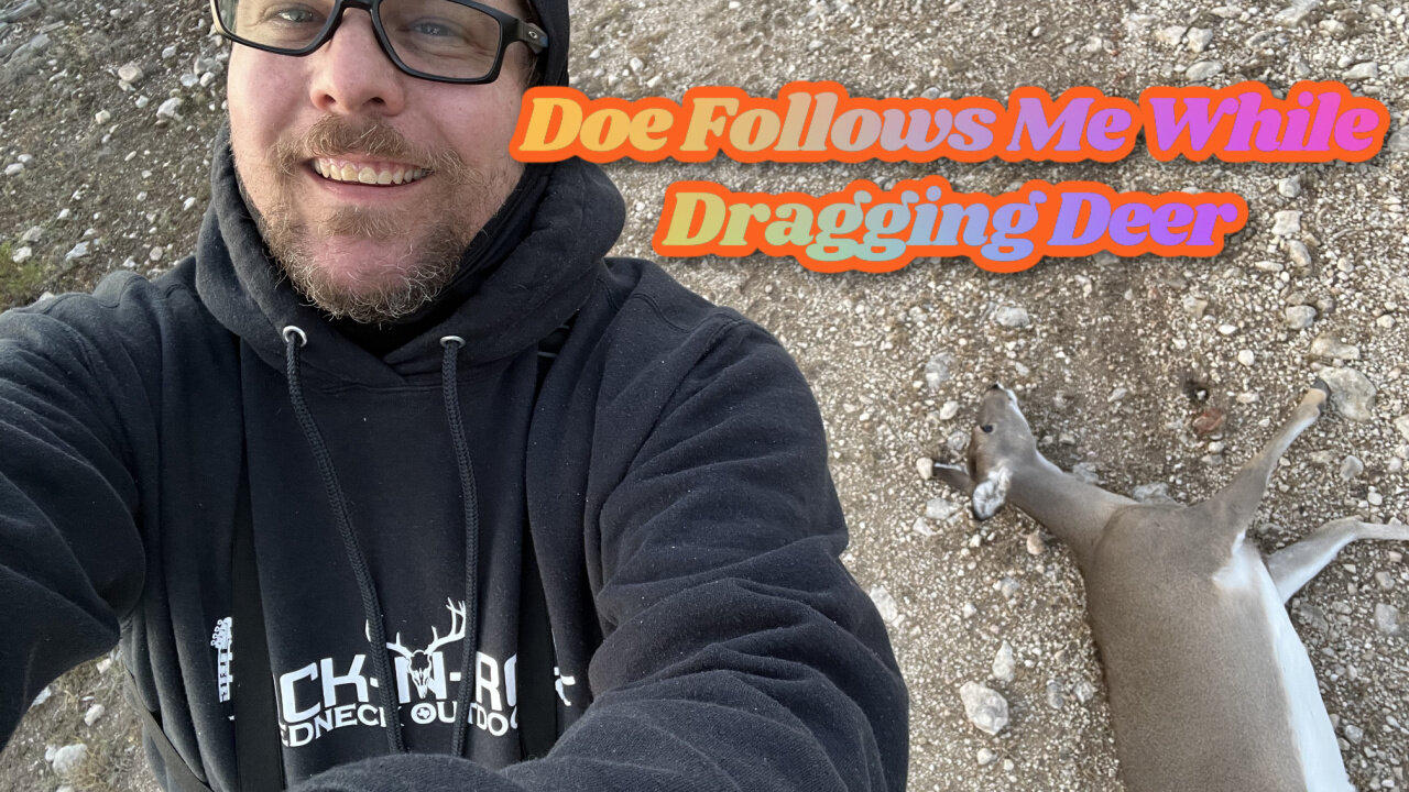Doe follows me while dragging deer, Shed antler, - One News Page VIDEO
