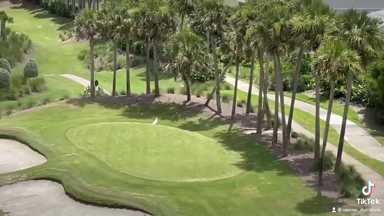 Hole in one - One News Page VIDEO