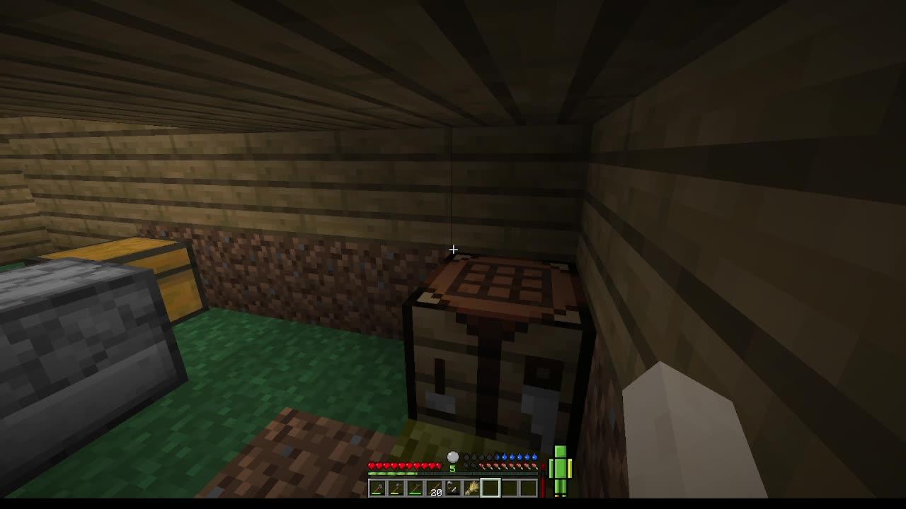 MINECRAFT: CRAFT FOR LIFE: EP2 - One News Page VIDEO
