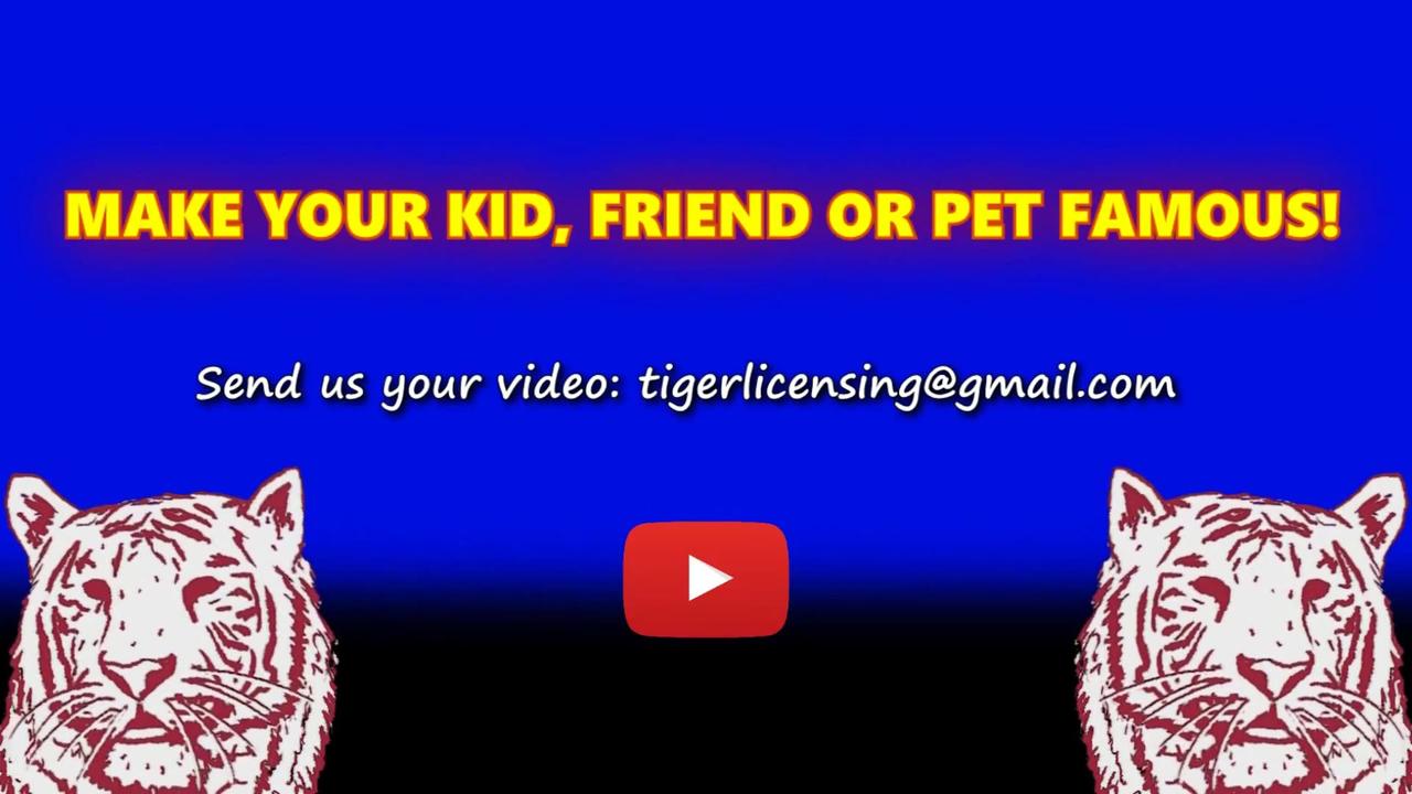 CATS will make you LAUGH YOUR HEAD OFF - Funny - One News Page VIDEO