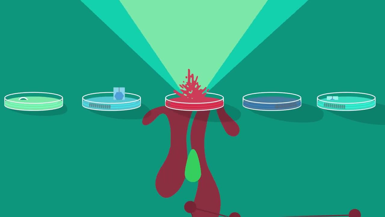 USANA InCelligence - One News Page VIDEO